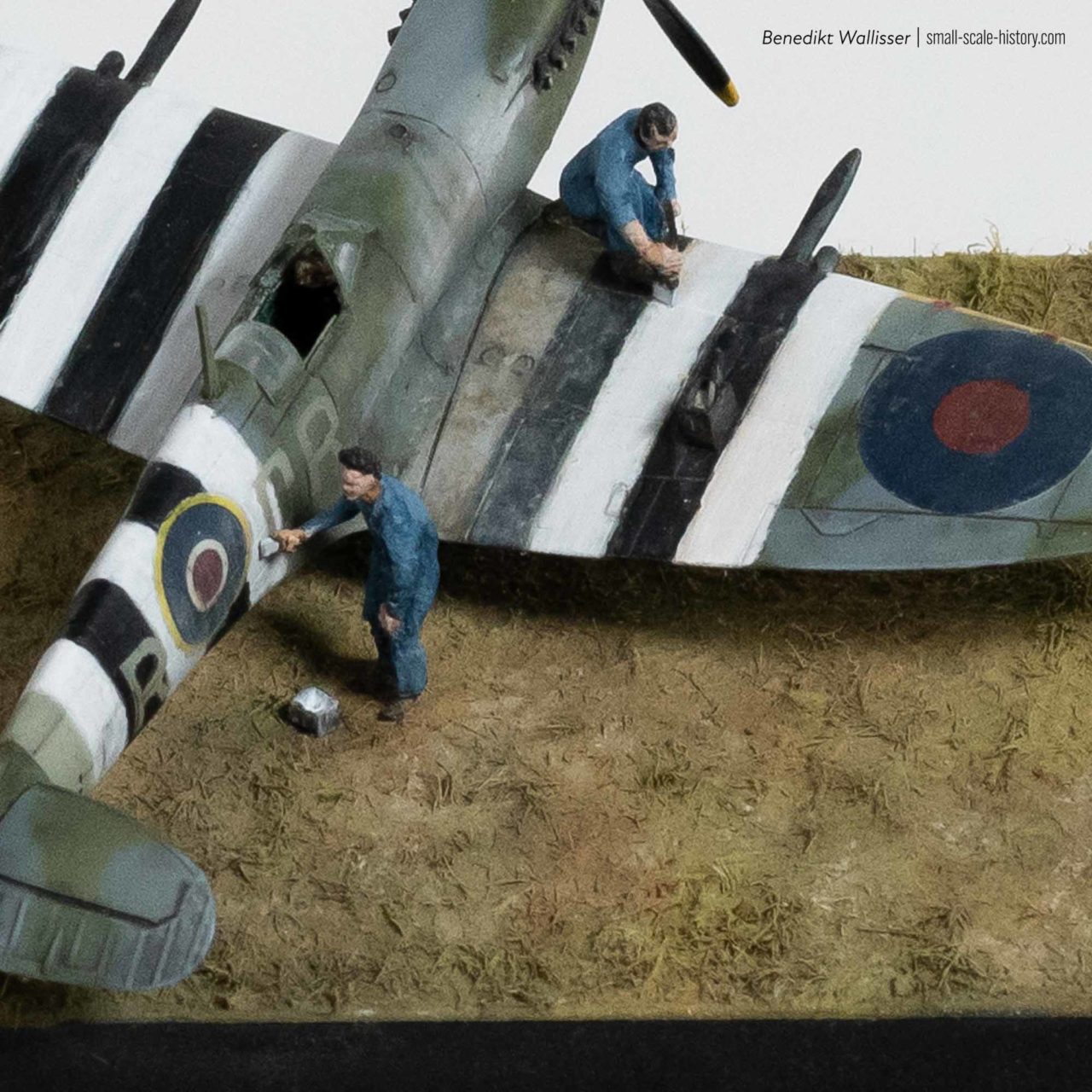 Invasion Stripes - Small Scale History