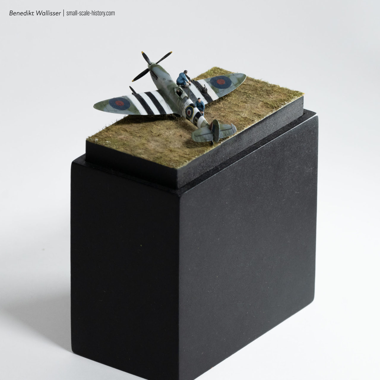 Invasion Stripes - Small Scale History
